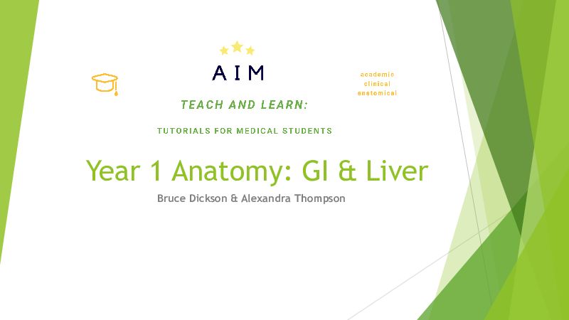 AIM Year 1 Anatomy Tutorial - GI and Liver | Content | MedAll
