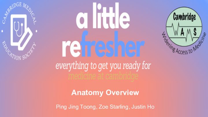 a little refresher - Anatomy Overview (Lecture 10) | Content | MedAll