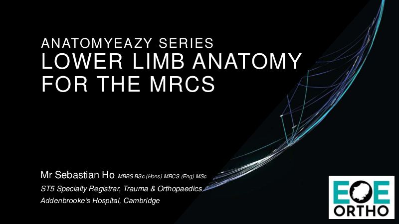 Lower Limb - AnatomyEazy | Content | MedAll