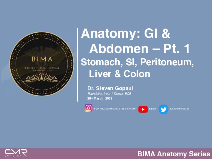 Anatomy & Imaging Gastrointestinal System | Content | MedAll