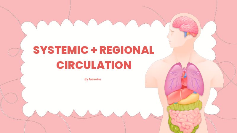 Anatomy Case 15 - Circulatory System | Content | MedAll
