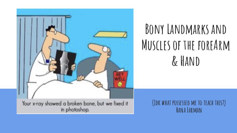 Topic 6 - Bony Landmarks and Muscles of Forearm and Hand | Content | MedAll