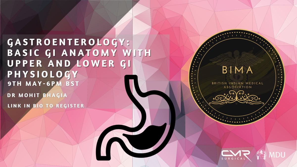 Gastroenterology: Basic GI anatomy with upper and lower GI physiology ...