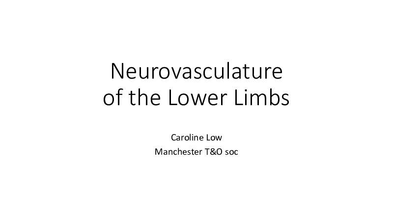 Lower Limb Anatomy Teaching Series: Neurovasculature | Content | MedAll