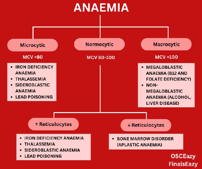 Anaemia Cheat Sheet | Content | MedAll