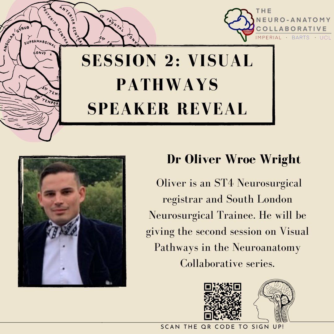 SESSION 2: Visual Pathways | Dr Oliver Wroe Wright | Content | MedAll